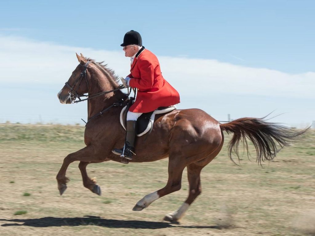 Legendary equine practitioner Dr. Marvin Beeman passes at 93 ...
