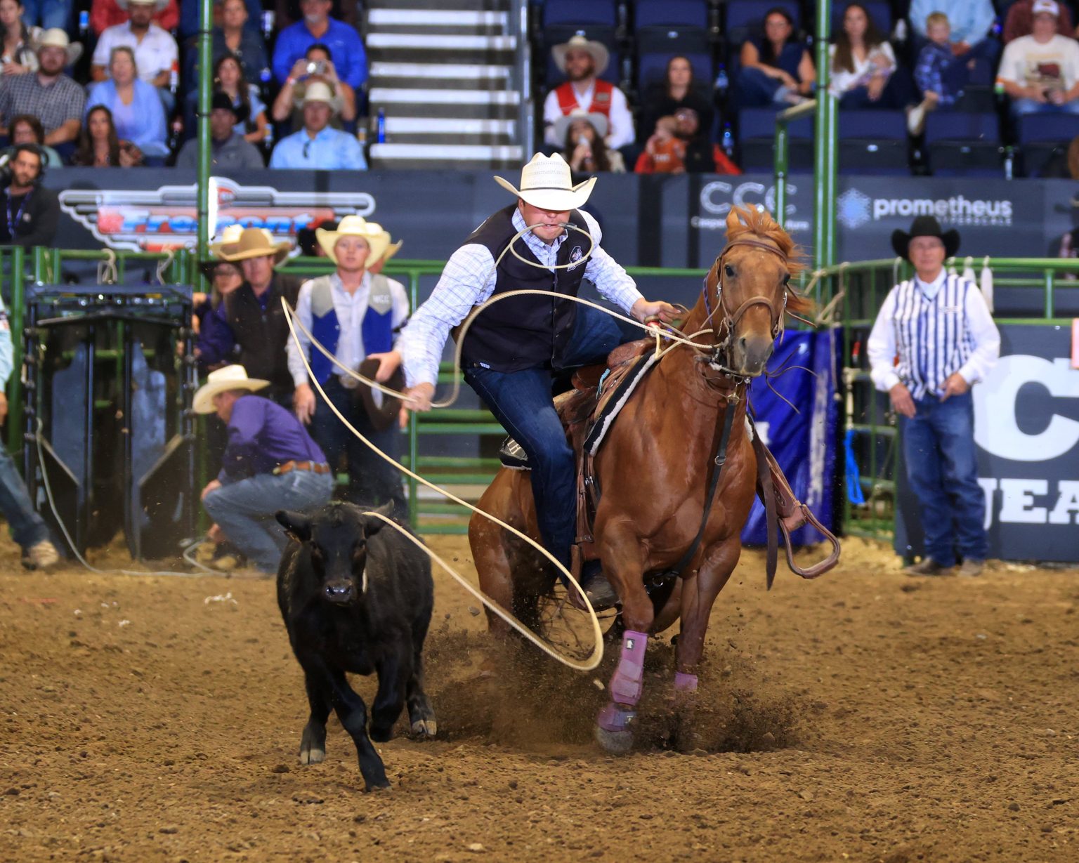 Champions crowned at 2026 College National Finals Rodeo | TheFencePost.com