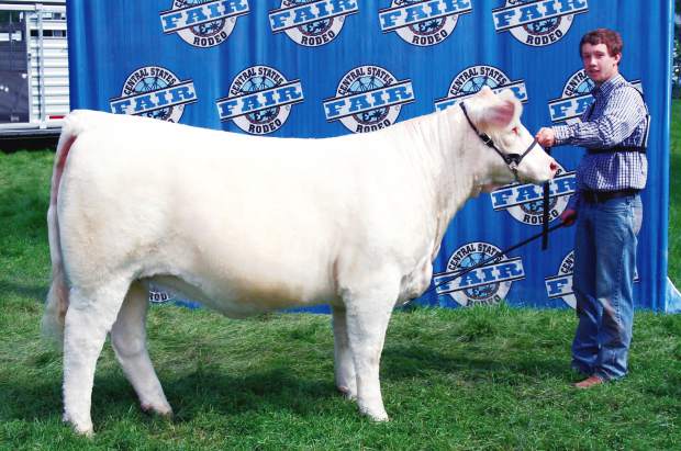 Central States Fair beef show results | TSLN.com