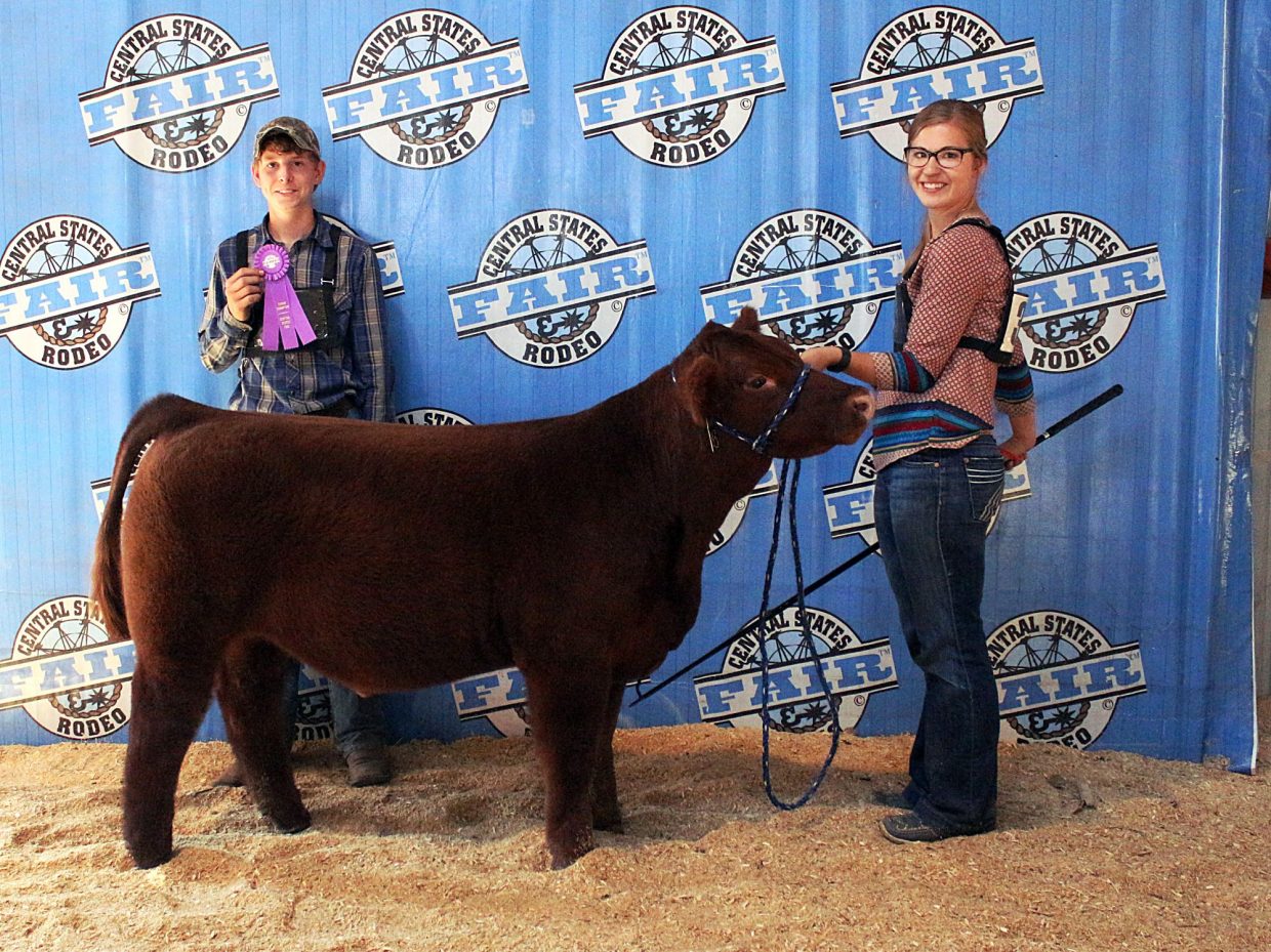 Big numbers of cattle show up for Rapid City show | TSLN.com