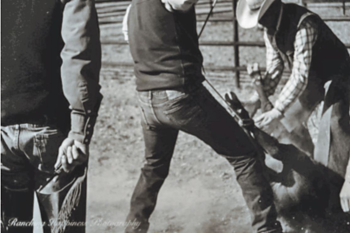 Pastor on the Pasture: The squeeze chute of self control | TSLN.com