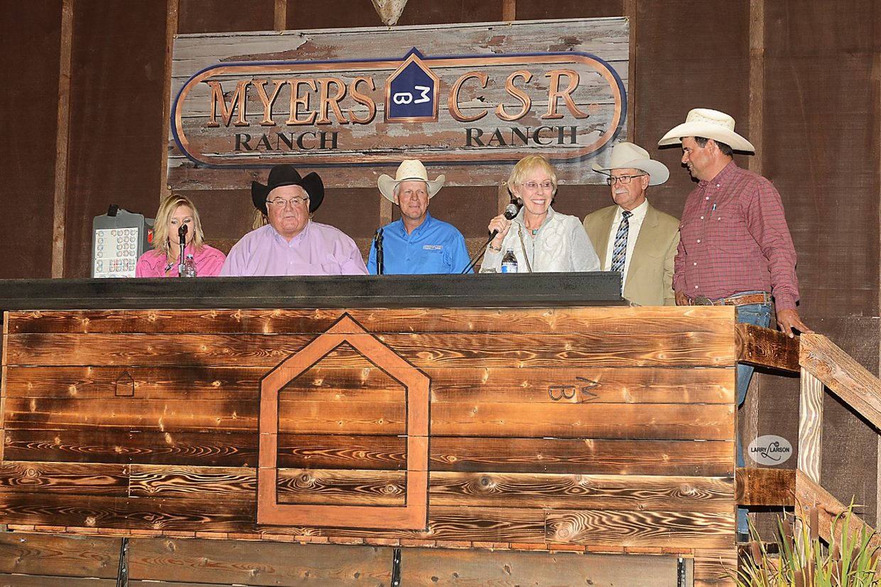 Myers and Copper Spring Ranch Performance Horse Sale | TSLN.com