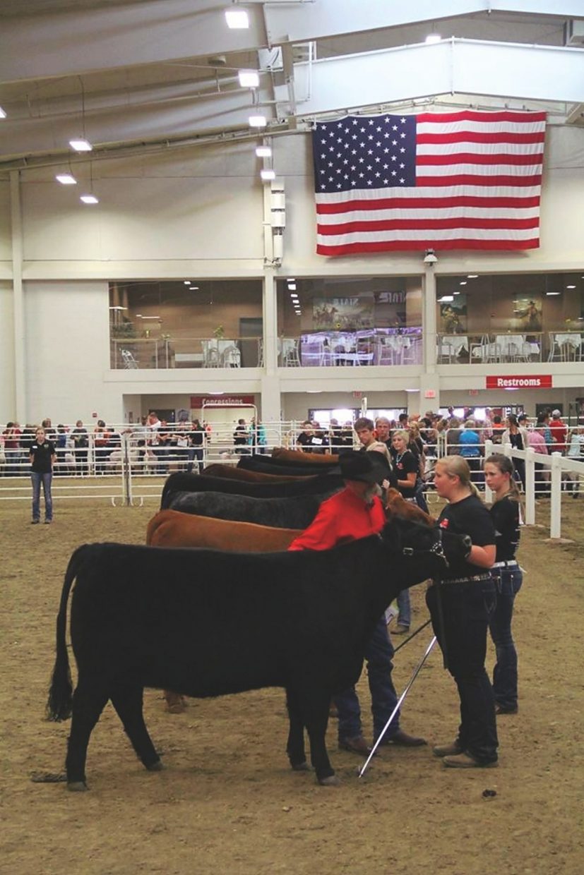 Williams wins Nebraska’s Elite Showman Competition | TSLN.com
