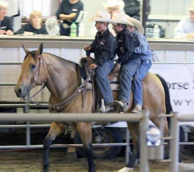 2012 Full House Elite Performance Horse Sale | TSLN.com