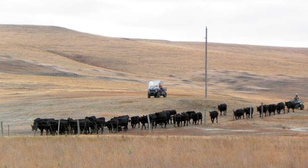 Standing up for Standing Rock | TSLN.com