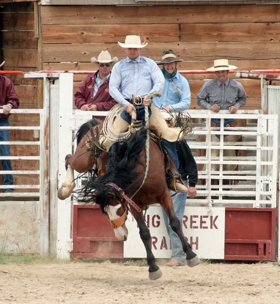 Rocky Mountain Bronc Riders Association works to make saddle bronc ...