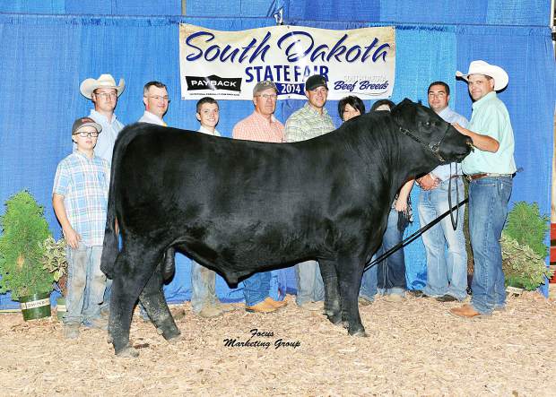Breeding cattle that matter: Bush Angus wins Supreme Champion at state ...
