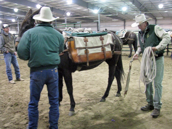 Glenn Ryan demonstrates pack mule training tips | TSLN.com