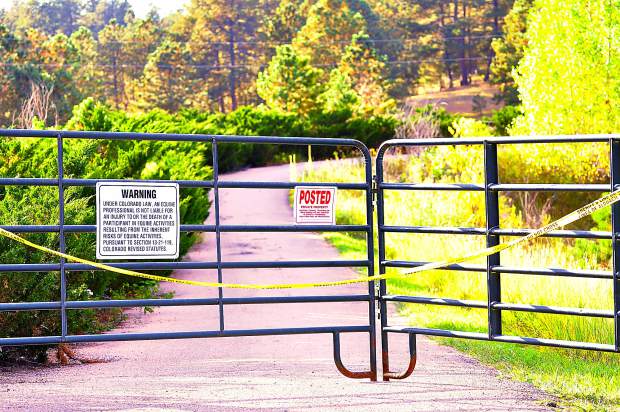 JUSTICE FOR DUAL PEPPY: Former champion cutting horse found ...