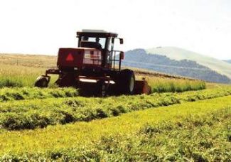 Determining proper moisture levels in baled hay | TSLN.com