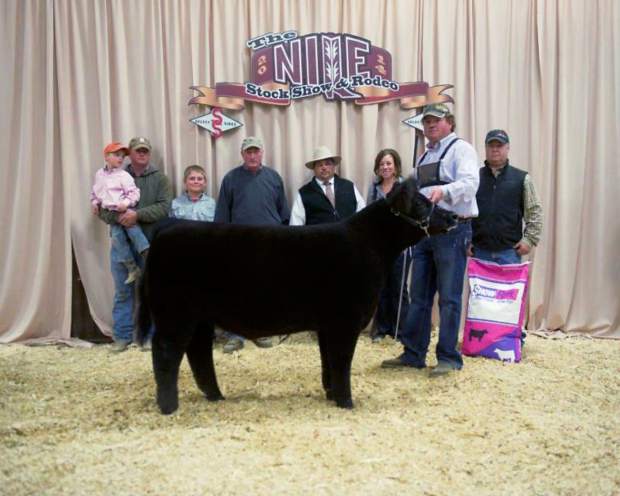 2014 NILE Club Calf results | TSLN.com
