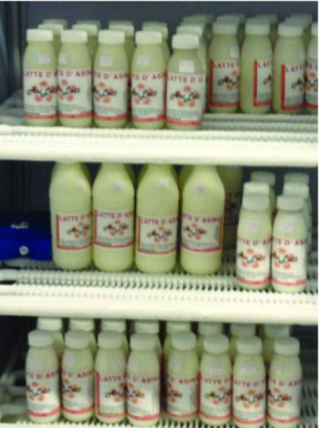 Donkey milk for human health? | TSLN.com