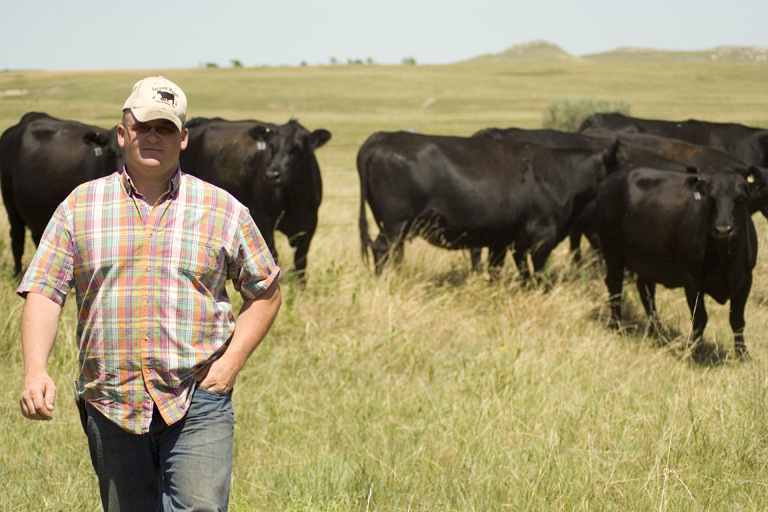 Back to the baldies | TSLN.com