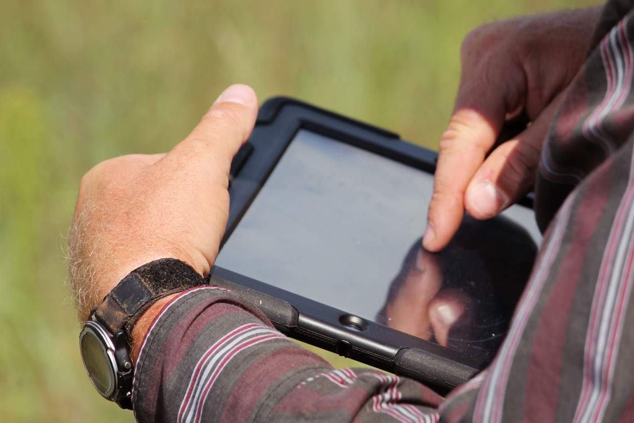Android releases pasture condition monitoring app | TSLN.com