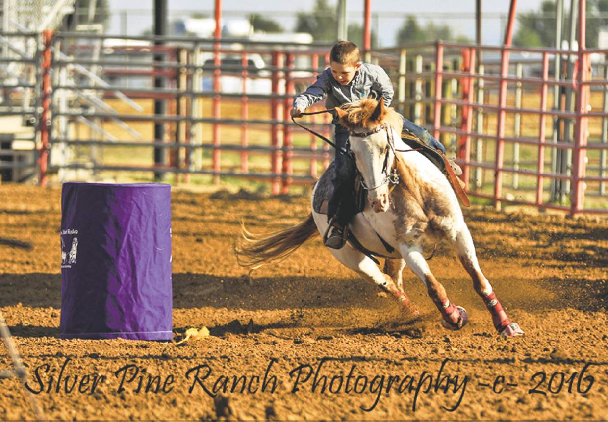 Out in large numbers | TSLN.com