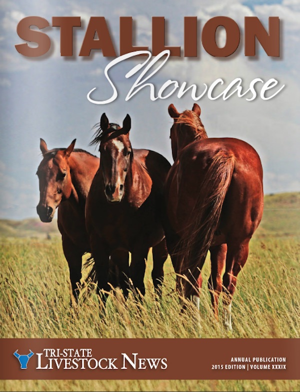 Stallion Showcase 2015 | TSLN.com