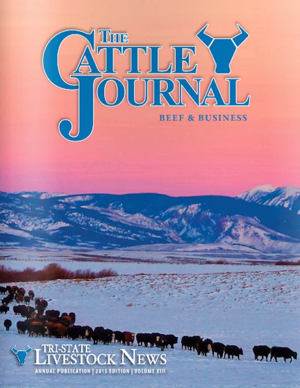 Winter Cattle Journal 2015 | TSLN.com