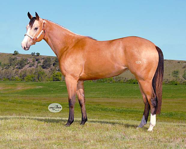 Myers Ranch/Copper Springs Ranch sale topper brings $110,000 | TSLN.com
