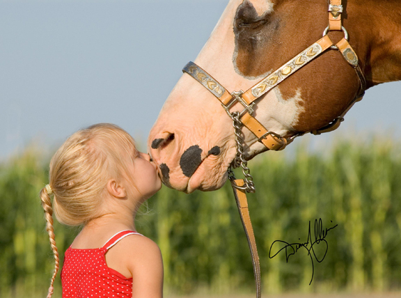 Equine photographers Larry Larson & Diana Allison share tricks of the ...