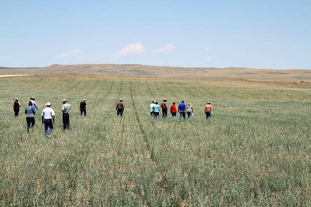 Restoring happy soil | TSLN.com