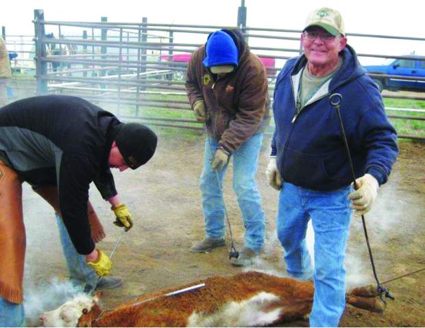 Ranching Legacy: Joy and struggle, Hermann family takes it all | TSLN.com
