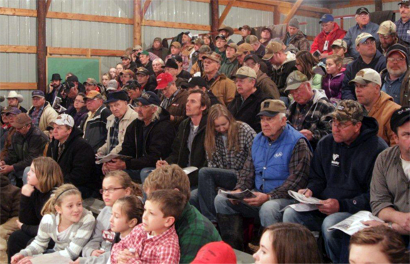 Sale: Koupal Angus 35th annual Angus bull sale | TSLN.com