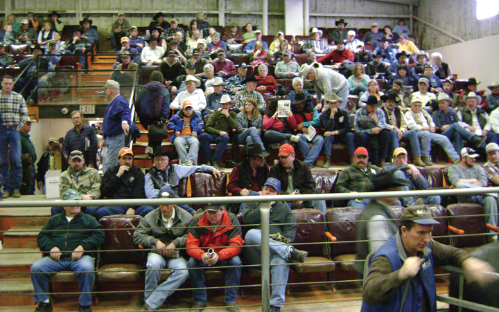 Millar Angus – Deep Creek Angus – McPherson Angus | TSLN.com