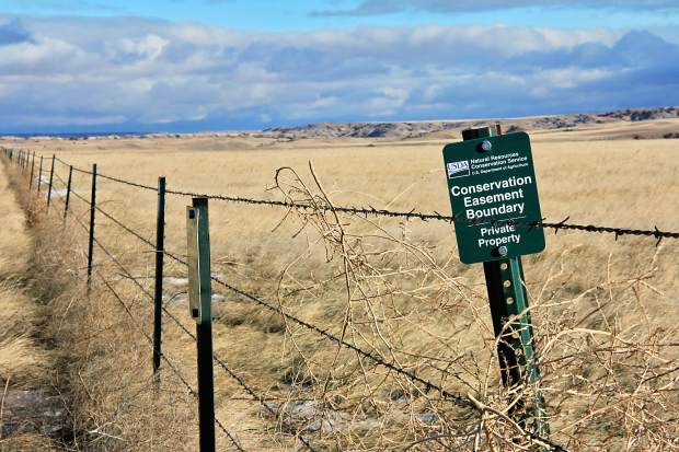 READ THE FINE PRINT: Conservation easements may not be the answer ...