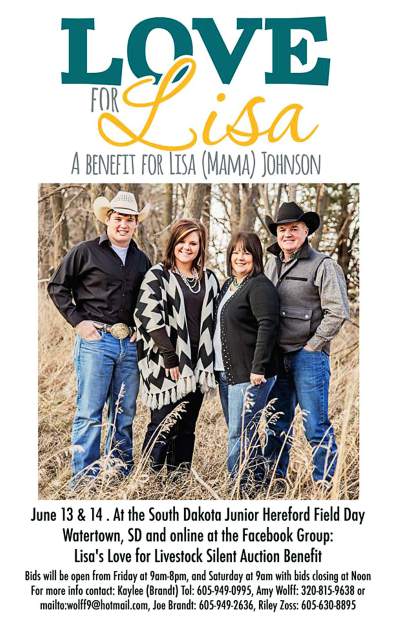 Silent auction for Lisa Johnson is June 13-14 | TSLN.com