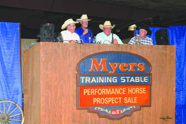 Myers Performance Horse Prospect Sale | TSLN.com
