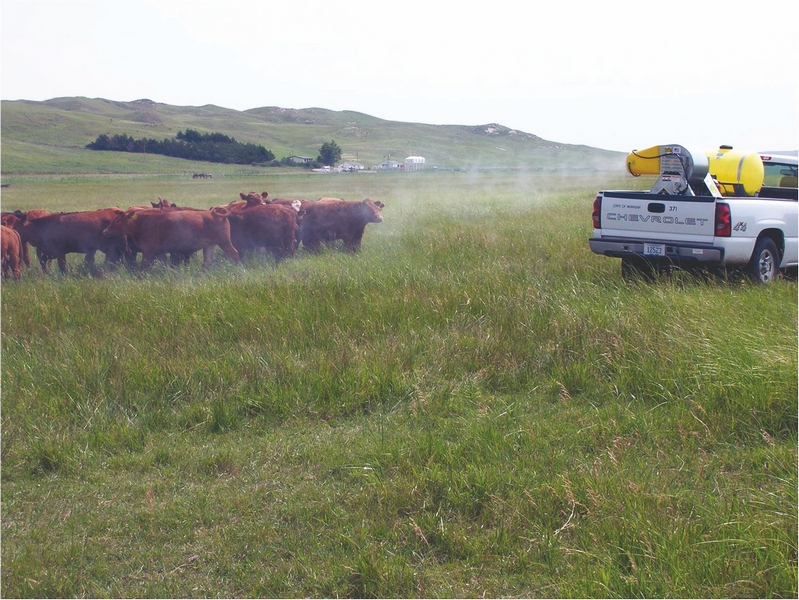 David Boxler, entomologist shares his knowledge about fly control for ...