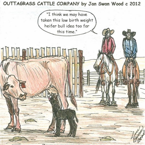 Cartoon: Outtagrass Cattle Company | TSLN.com