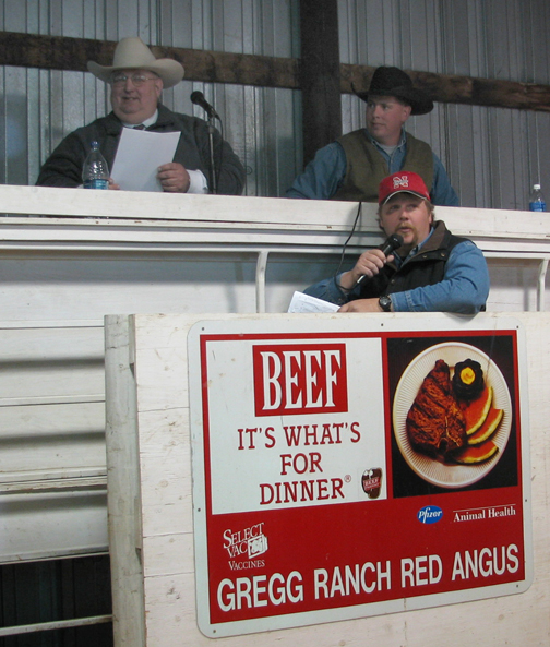 Gregg Ranch 14th Annual Red Angus Sale | TSLN.com
