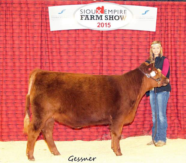Sioux Empire Farm Show: Red Angus Show and Sale | TSLN.com