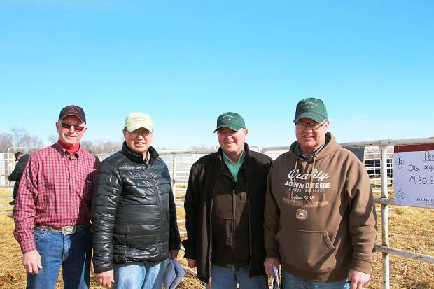 Koupal Angus 39th Annual Bull Sale | TSLN.com