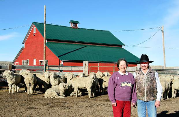 Raising the best bucks at Peterson Ranch | TSLN.com