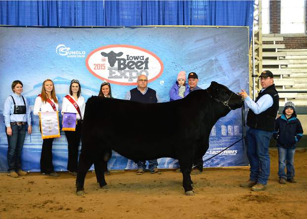 2015 Iowa Beef Expo Show and Sale | TSLN.com