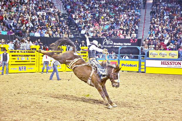 Judge rules that PRCA can keep Elite Rodeo Association members out of ...
