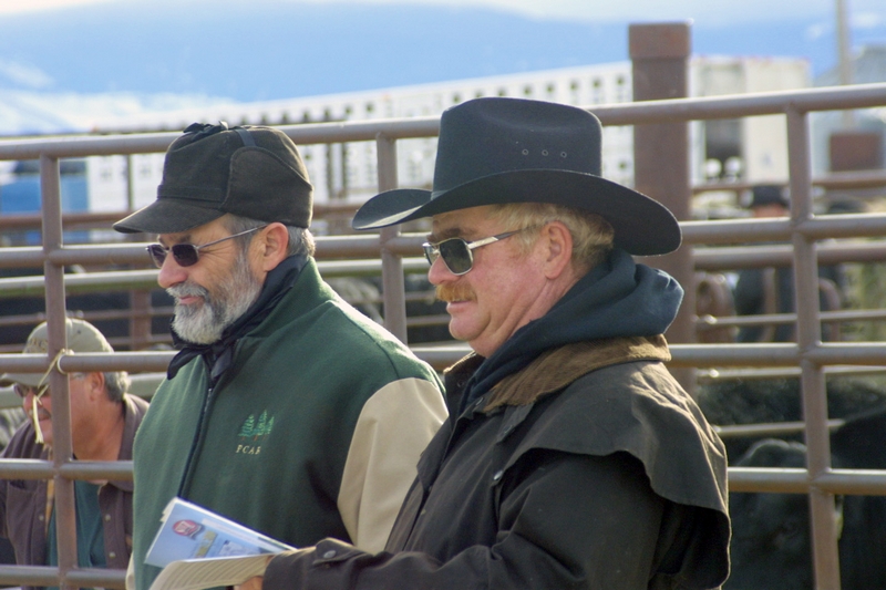 Sitz Angus 45th Annual Production Sale | TSLN.com