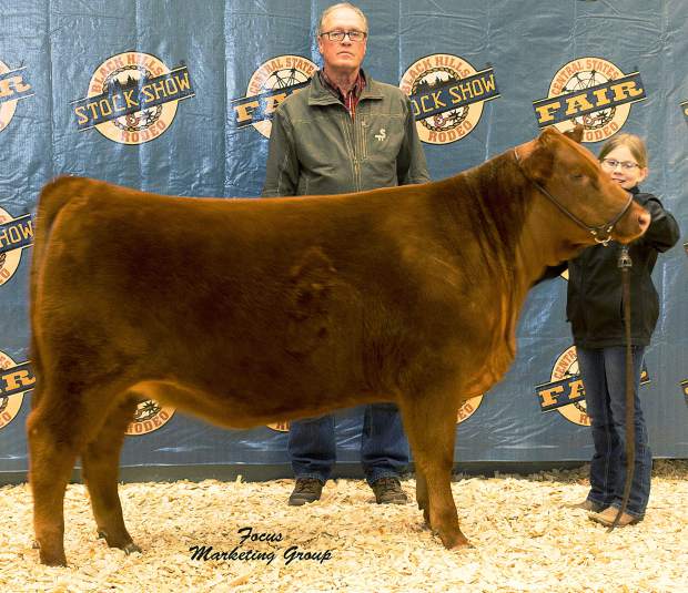2016 Black Hills Stock Show Red Angus Sale Results | TSLN.com