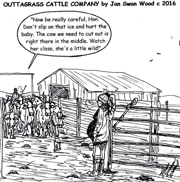 Outtgrass Cattle Co. cartoon by Jan Swan Wood | TSLN.com