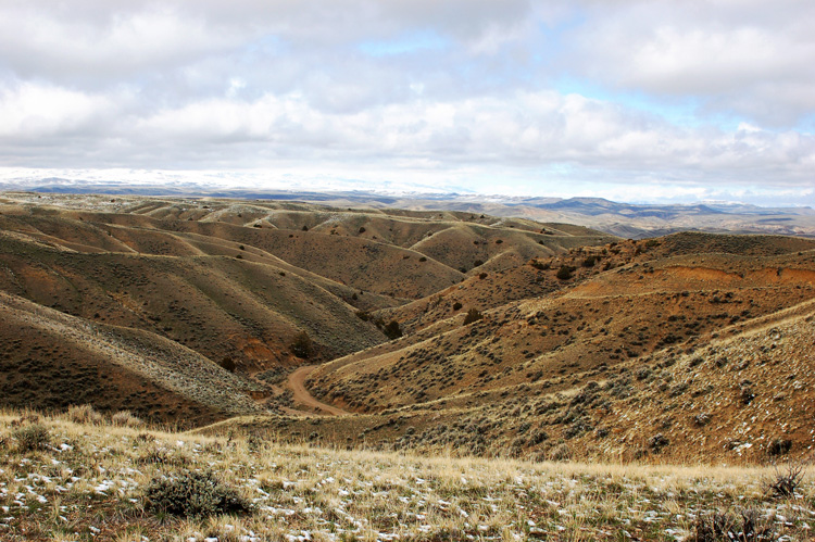Shepperson family helped by conservation easement | TSLN.com