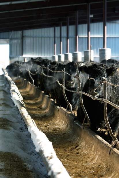 Open for operation | TSLN.com