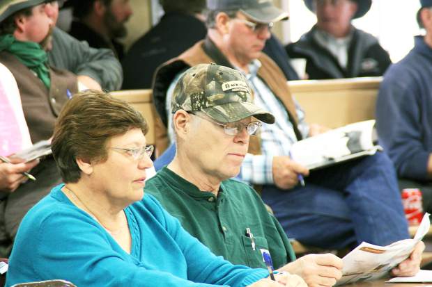 Stevenson Angus Annual Spring Bull Sale | TSLN.com