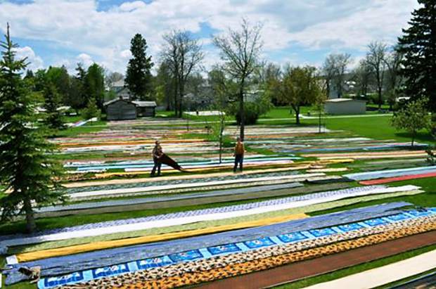 Stevenson Angus Ranch 55th Annual Fall Production Sale | TSLN.com