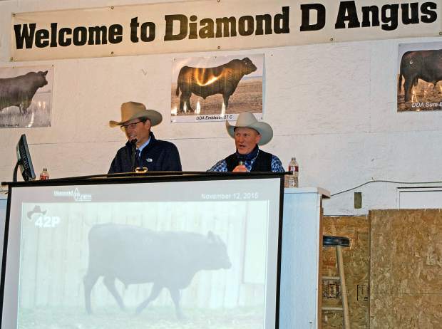 Diamond D Angus Annual Bull Sale | TSLN.com
