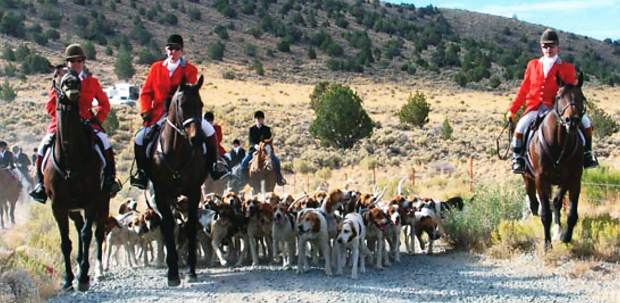 FOX HUNTING 101 | TSLN.com