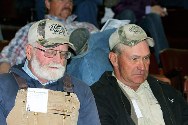 Miller Angus of Draper, SD, Annual Bull Sale | TSLN.com