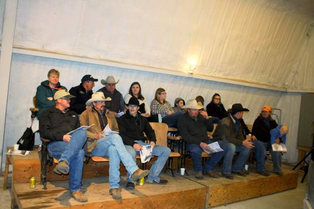 Wheeler Mountain Angus | TSLN.com