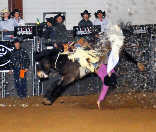 BREEDING TO BUCK | TSLN.com